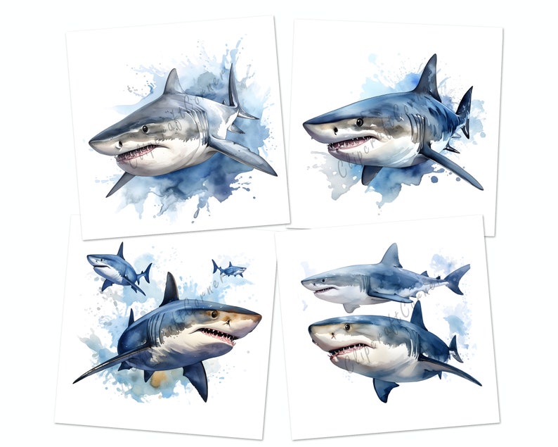 12 Shark Clipart PNG Bundle Watercolor Sea Animals Clipart PNG Ocean ...