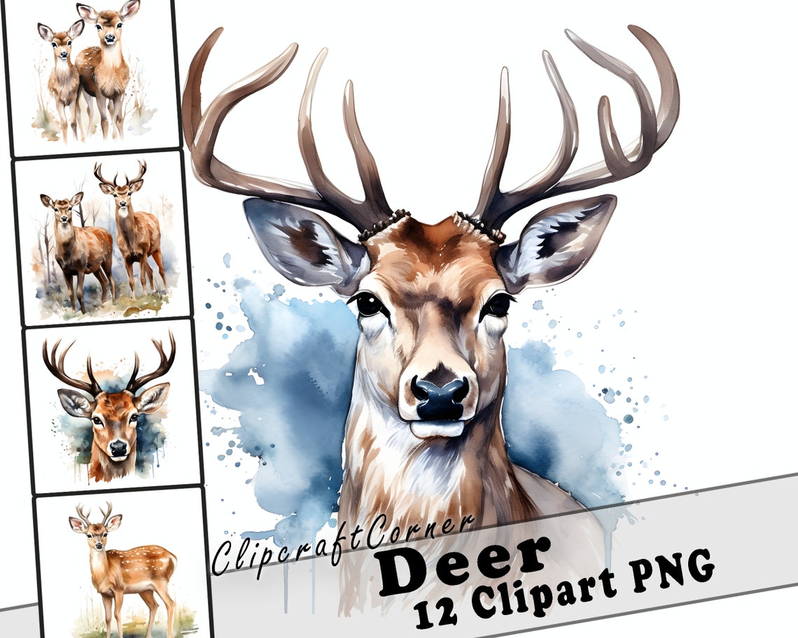 12 Deer Clipart PNG Forest Animal Bundle Watercolor Deer Clipart PNG ...