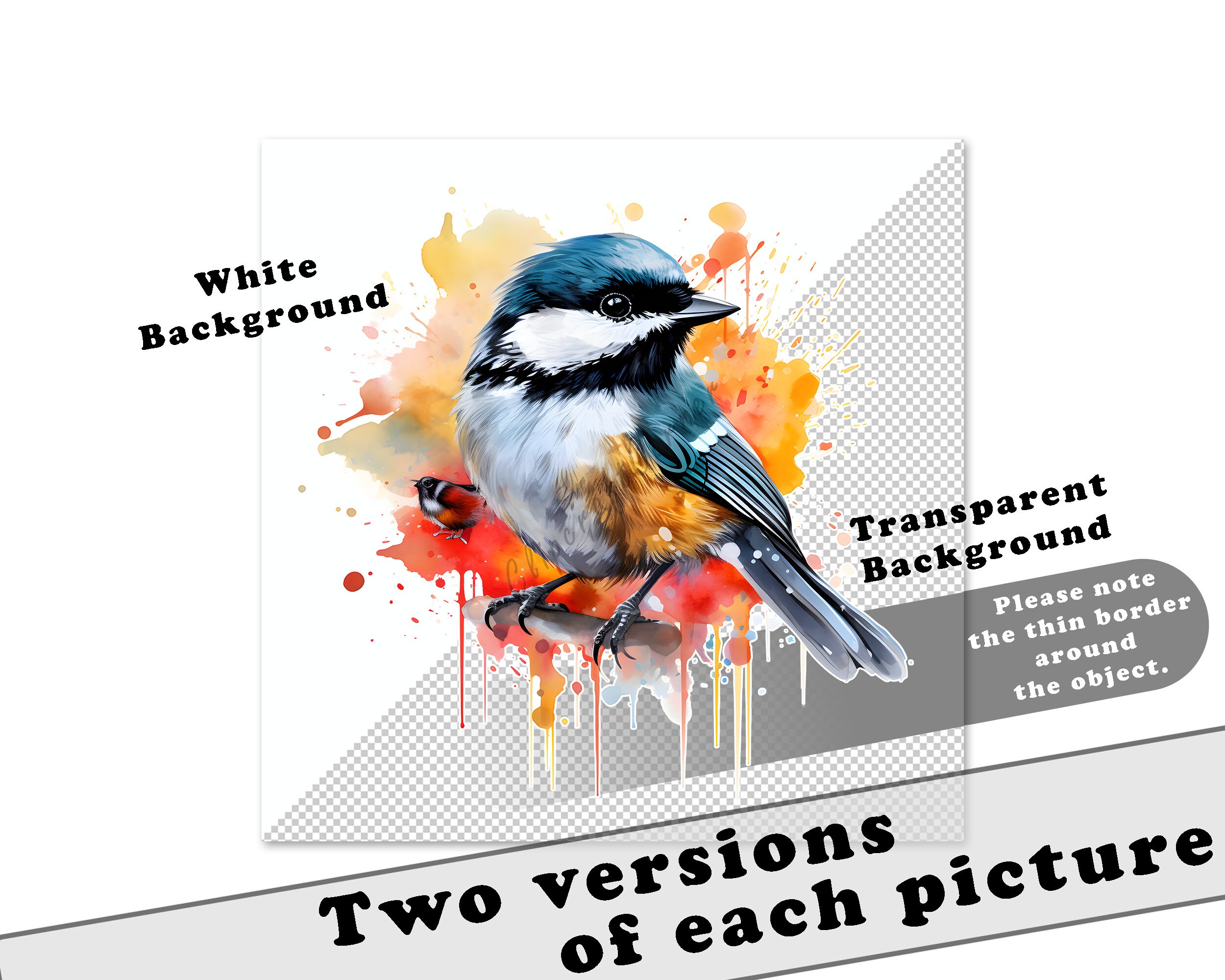 12 Black Capped Chickadee Clipart PNG Art Bundle | Watercolor Bird ...