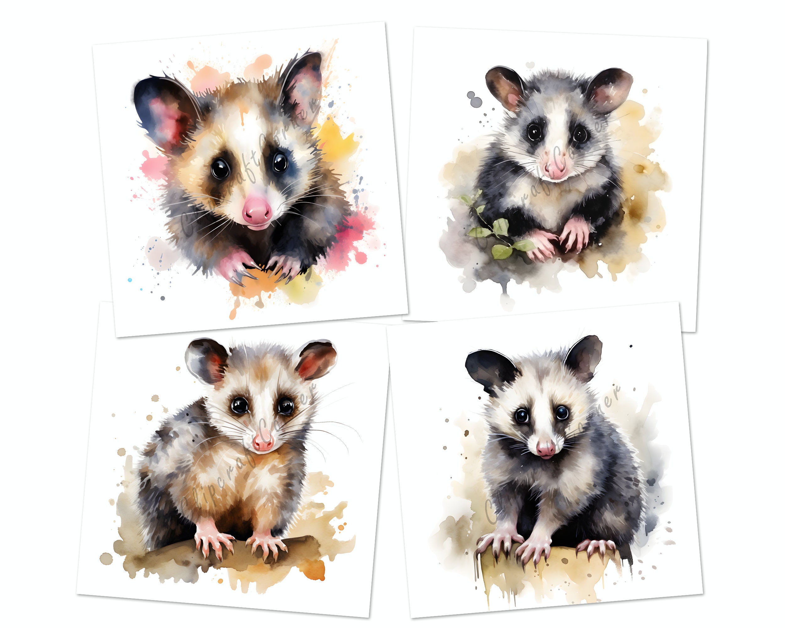 12 Possum Clipart PNG Forest Animal Bundle | Watercolor Possum Clipart ...