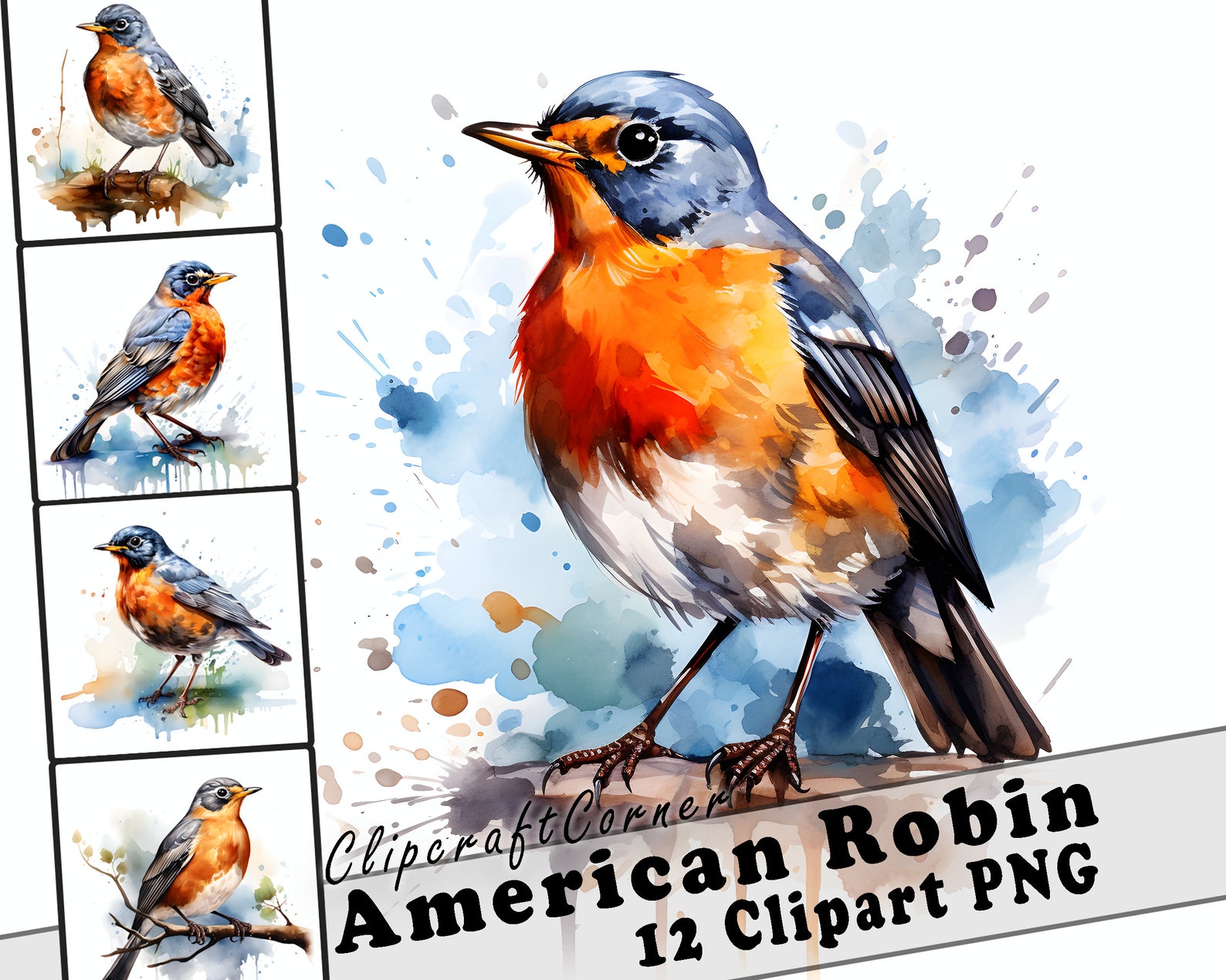 12 American Robin Clipart PNG Art Bundle | Watercolor Bird Clipart PNG ...