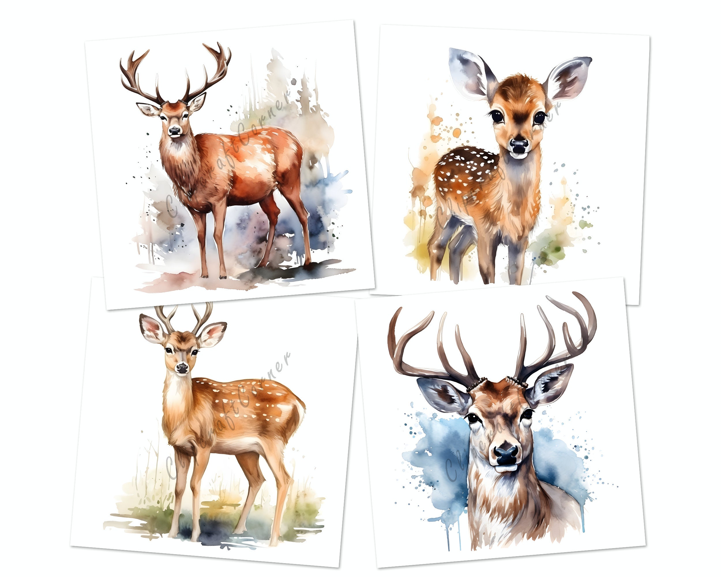 12 Deer Clipart PNG Forest Animal Bundle | Watercolor Deer Clipart PNG ...