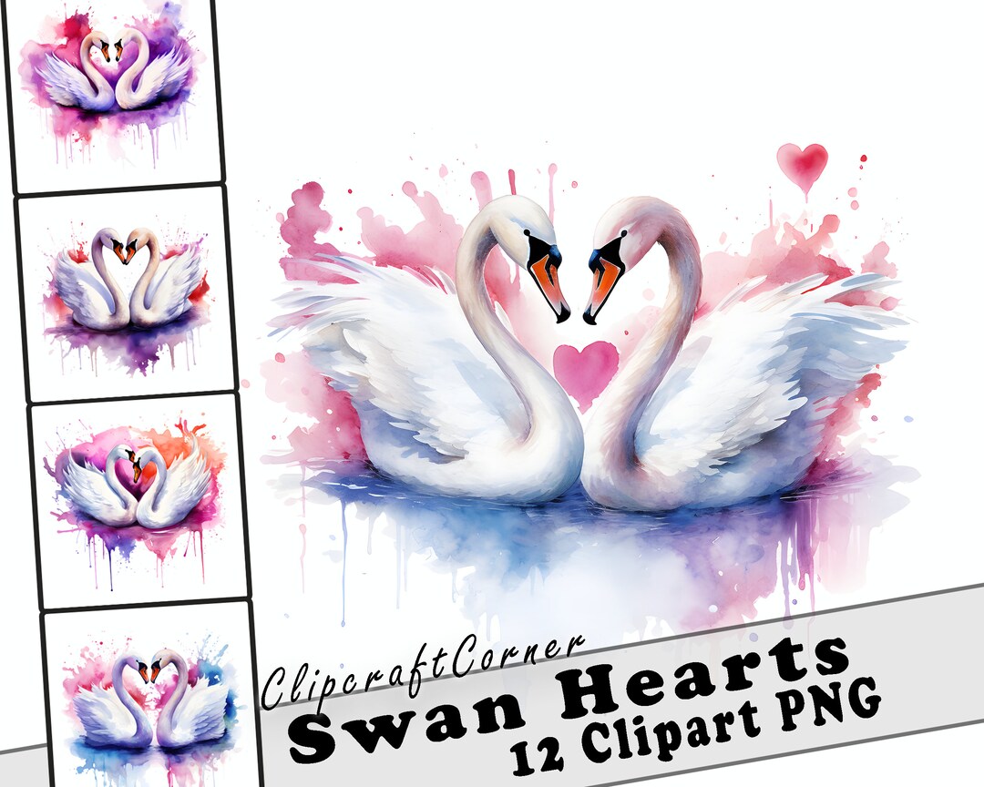 12 Swan Hearts Clipart PNG Art Bundle | Watercolor Bird Clipart PNG ...
