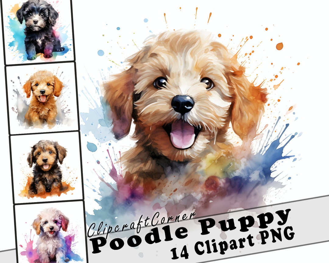 14 Puppy Poodle Clipart PNG Bundle | Watercolor Puppy Dog Clipart PNG ...