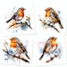 12 Robin Clipart PNG Art Bundle | Watercolor Bird Clipart PNG Artwork ...