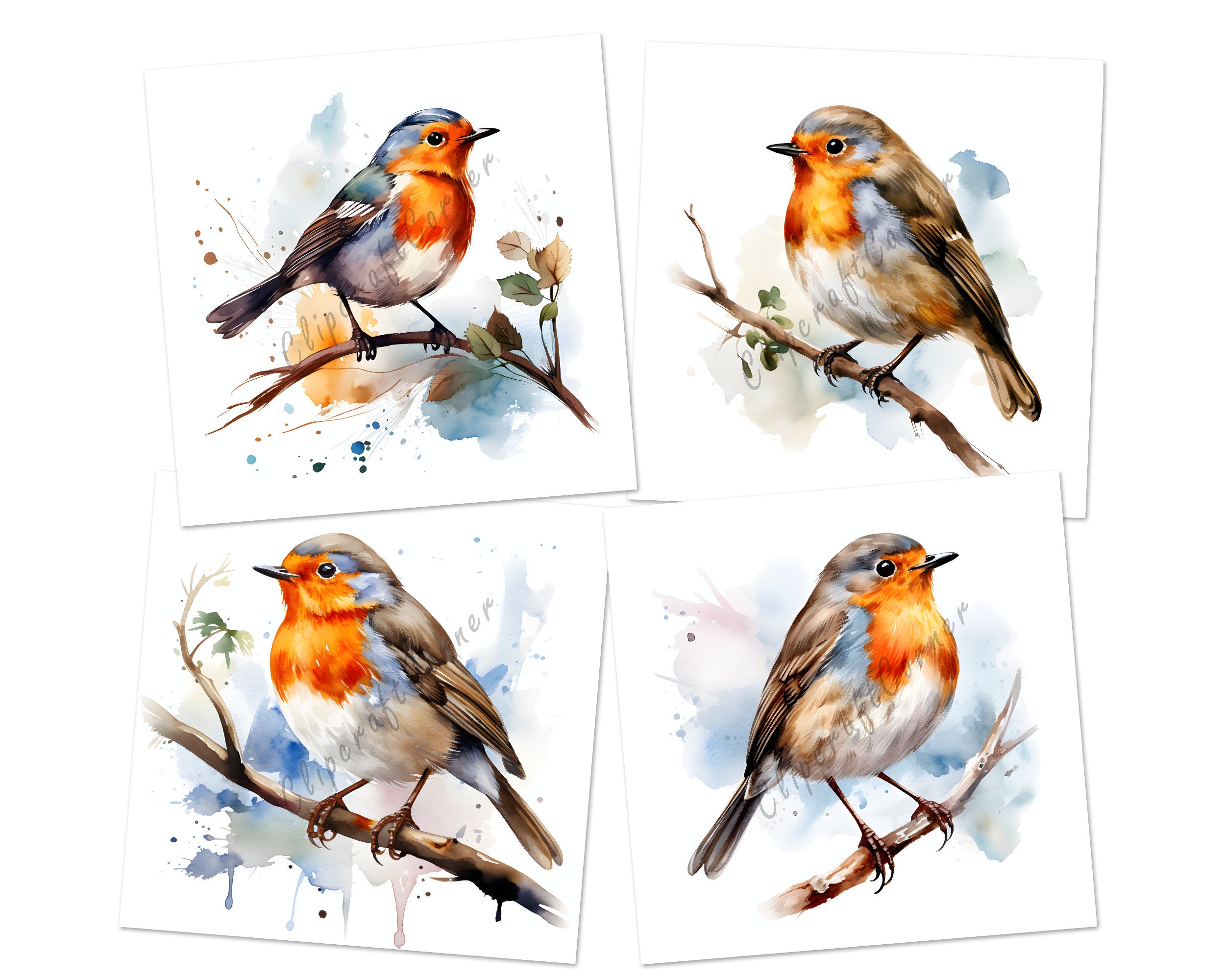 12 Robin Clipart PNG Art Bundle | Watercolor Bird Clipart PNG Artwork ...