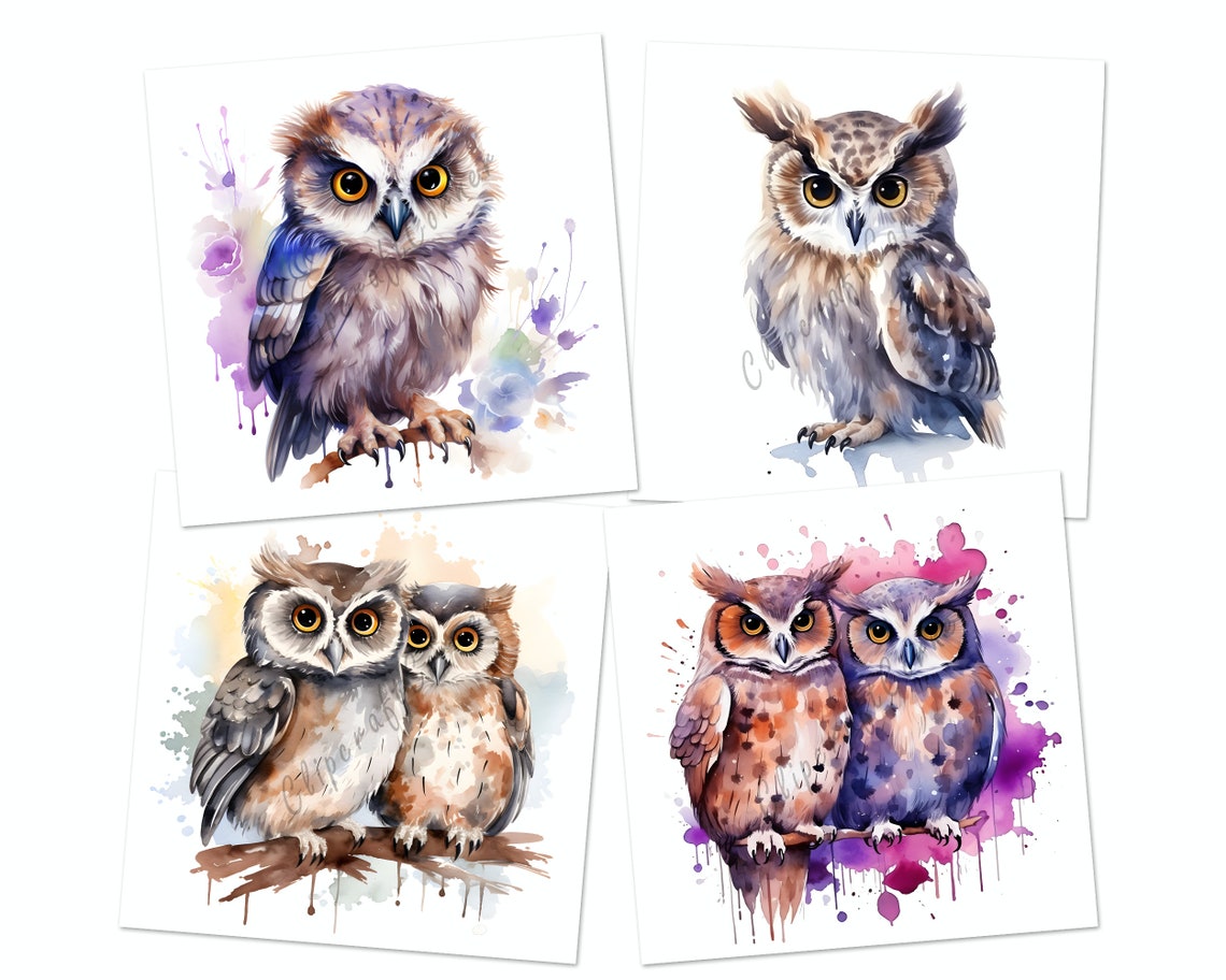 12 Owl Clipart PNG Forest Animal Bundle | Watercolor Owl Clipart PNG ...