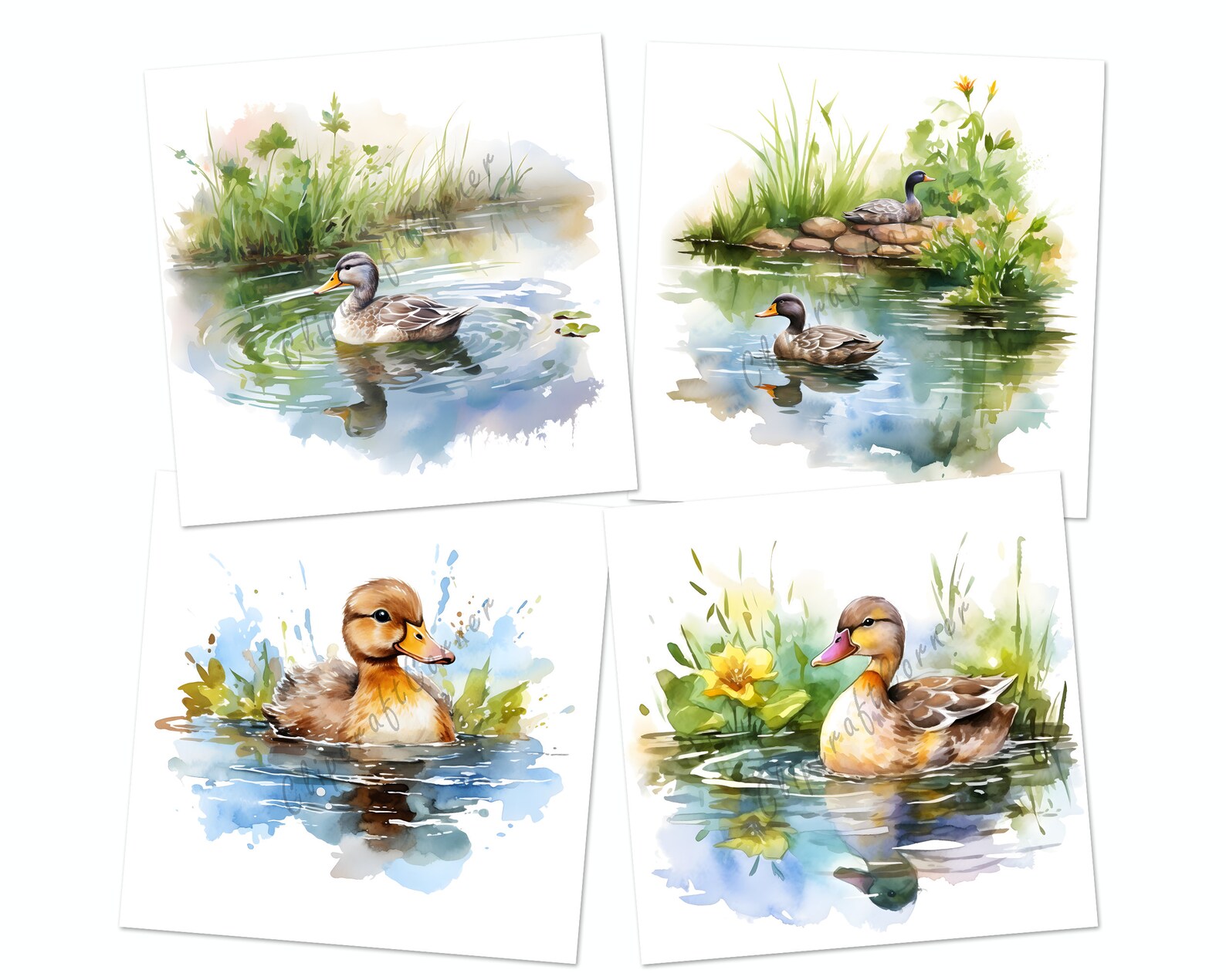 12 Duck Pond Clipart PNG Bundle | Watercolor Duck Pond Clipart PNG ...