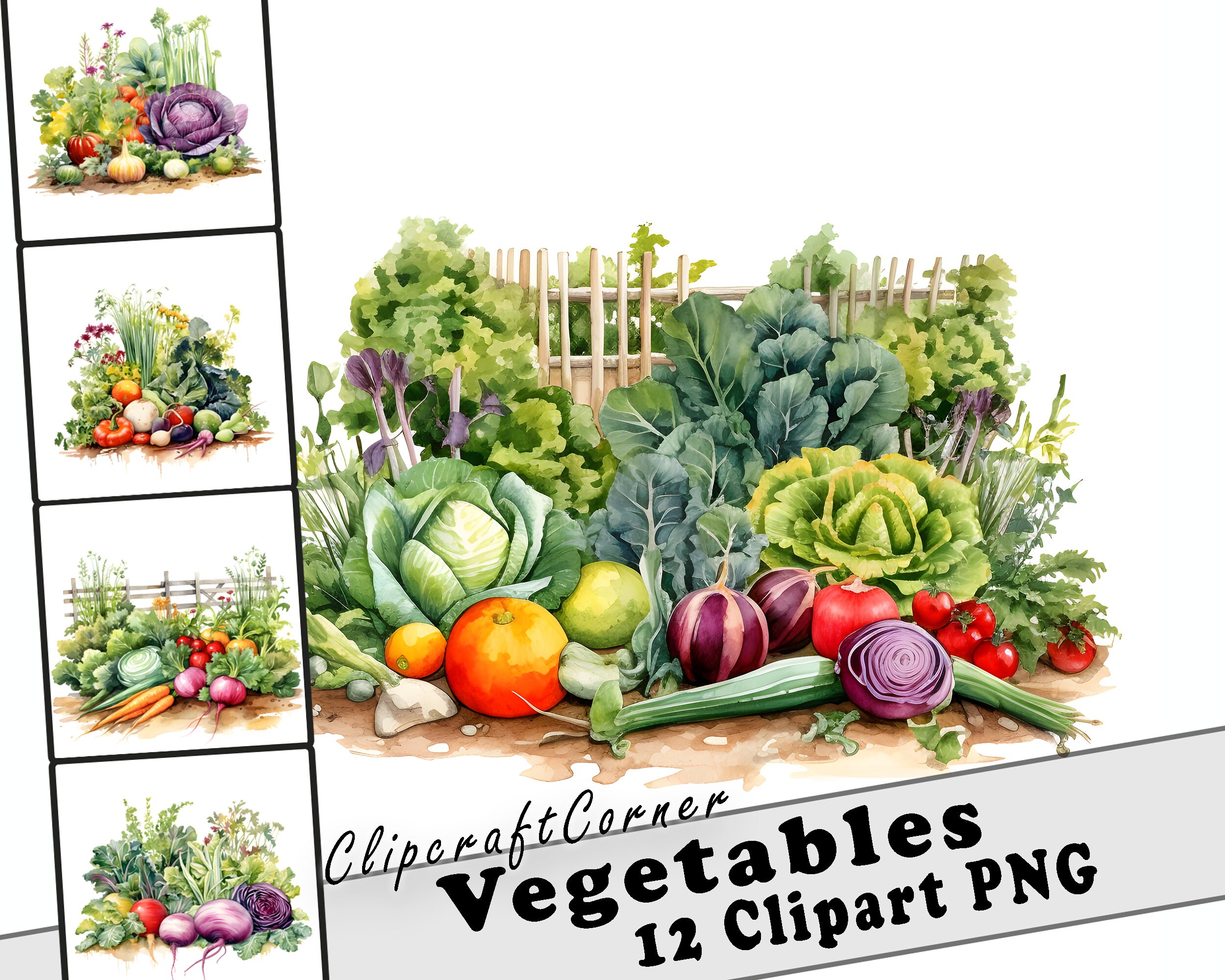 12 Vegetables Clipart PNG Bundle | Watercolor Vegetable Clipart PNG ...