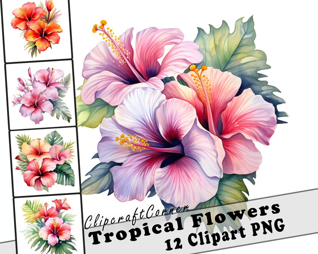 12 Tropical Flower Clipart PNG Bundle | Tropical Watercolor Clipart PNG ...