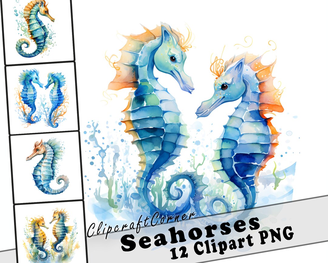 12 Sea Horse Clipart PNG Bundle | Watercolor Sea Animals Clipart PNG ...