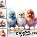 12 Chicks Clipart PNG Bundle | Watercolor Chicken Clipart PNG | Farm ...