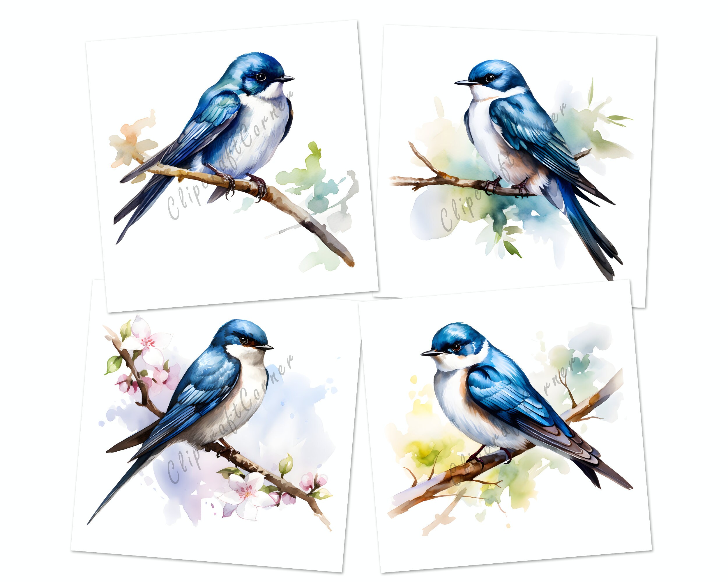 12 Tree Swallow Clipart PNG Art Bundle | Watercolor Bird Clipart PNG ...