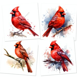 12 Red Cardinal Clipart PNG Art Bundle | Watercolor Bird Clipart PNG ...