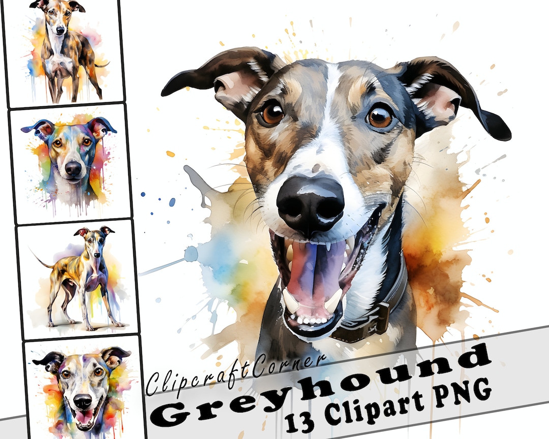 13 Greyhound Clipart PNG | Watercolor Greyhound Dogs Clipart Bundle PNG ...