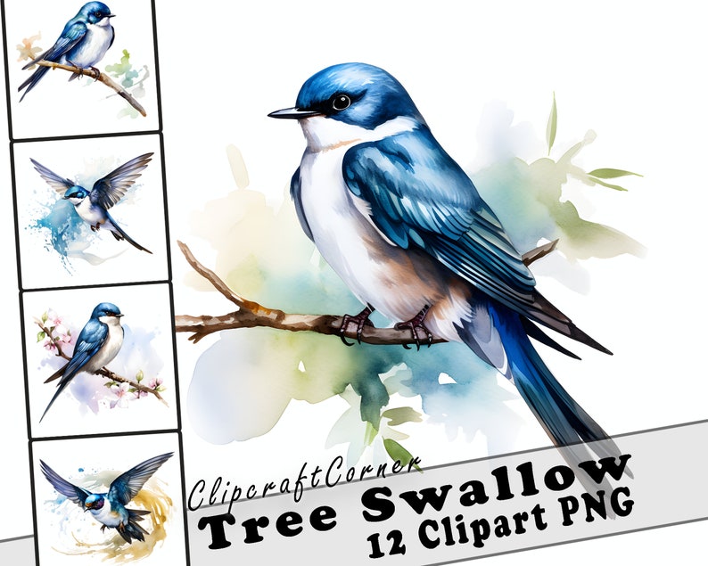 12 Tree Swallow Clipart PNG Art Bundle | Watercolor Bird Clipart PNG ...