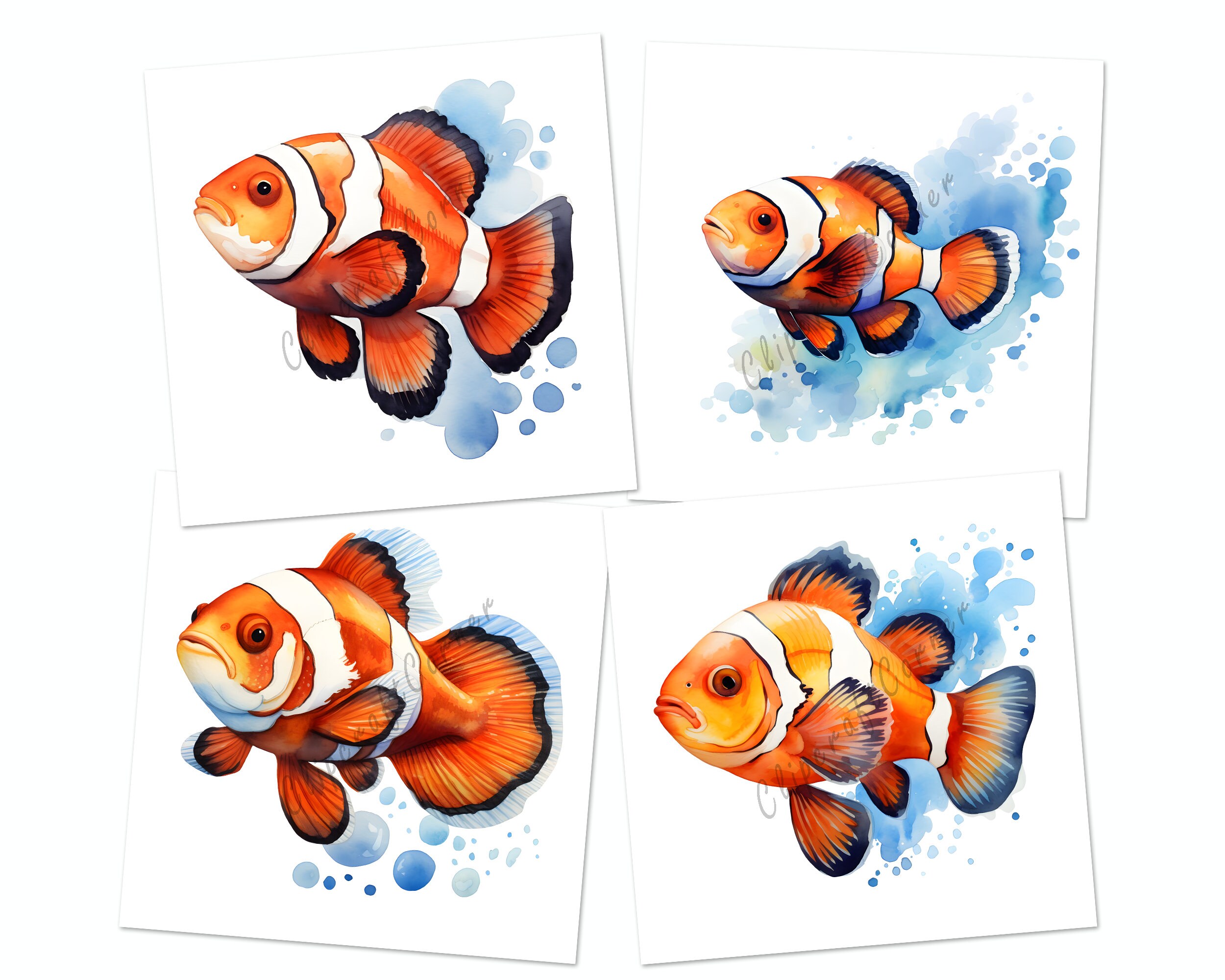 12 Clownfish Clipart PNG Bundle | Watercolor Sea Animals Clipart PNG ...
