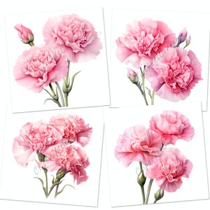 12 Pink Carnation Clipart PNG Art Bundle | Watercolor Flower Clipart ...