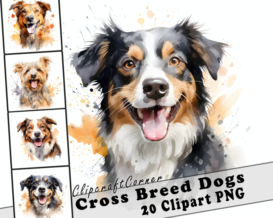 20 Cross Breed Dogs Clipart PNG Bundle | Watercolor Dog Clipart PNG ...