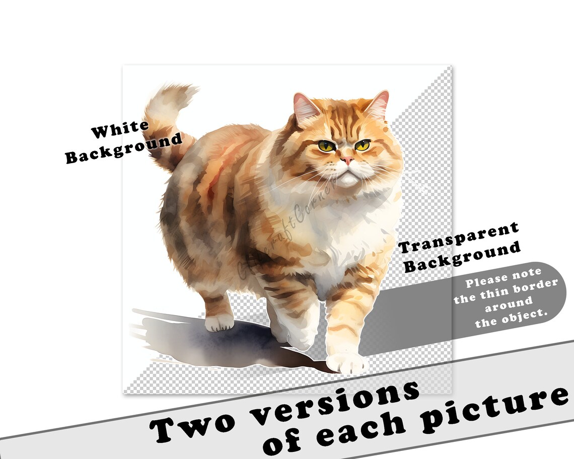 20 Fat Cats Clipart PNG Bundle | Cute Watercolor Fat Cat Clipart PNG ...