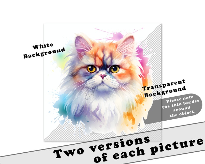 12 Persian Cat Clipart PNG Bundle | Cute Watercolor Cat Clipart PNG ...