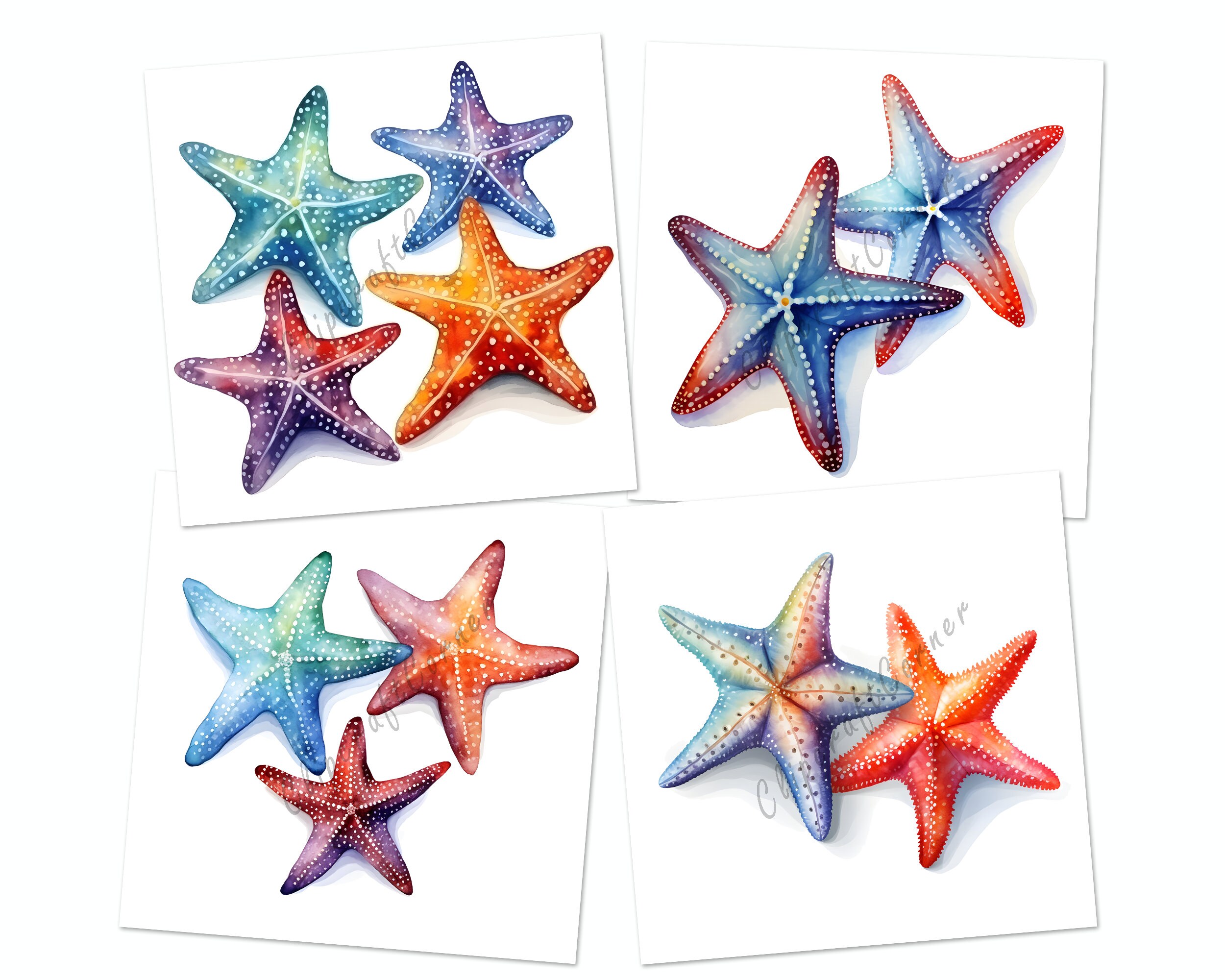 12 Starfish Clipart PNG Bundle | Watercolor Sea Animals Clipart PNG ...