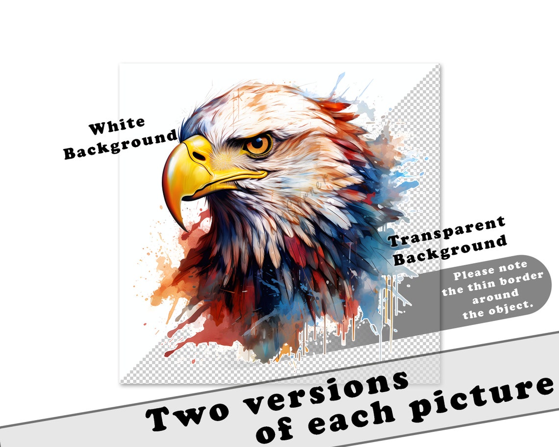 12 Eagle Clipart PNG Art Bundle Watercolor Bird Clipart PNG Artwork 1009 - Etsy