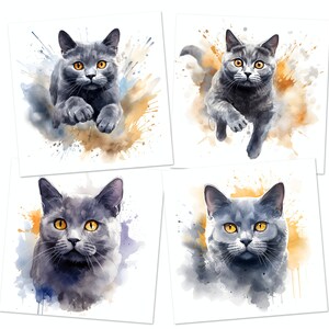 12 Chartreux Cat Clipart PNG Bundle | Cute Watercolor Cat Clipart PNG ...