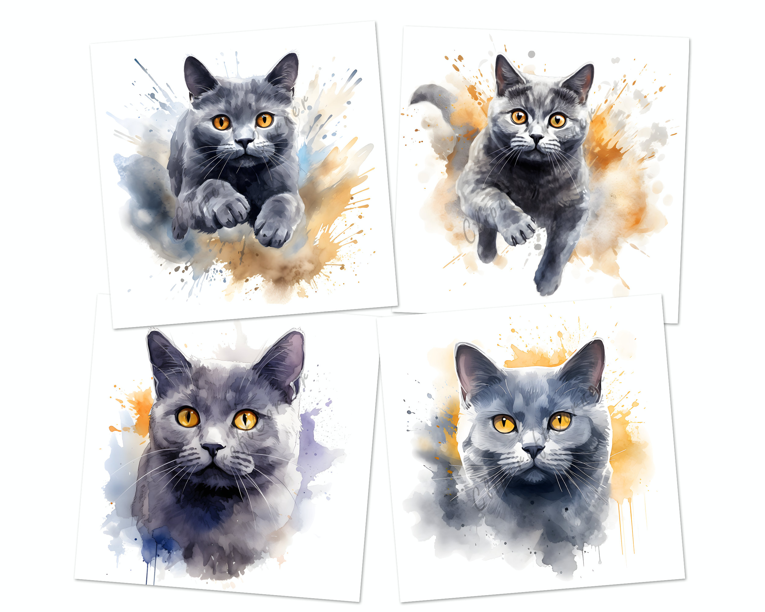 12 Chartreux Cat Clipart PNG Bundle | Cute Watercolor Cat Clipart PNG ...