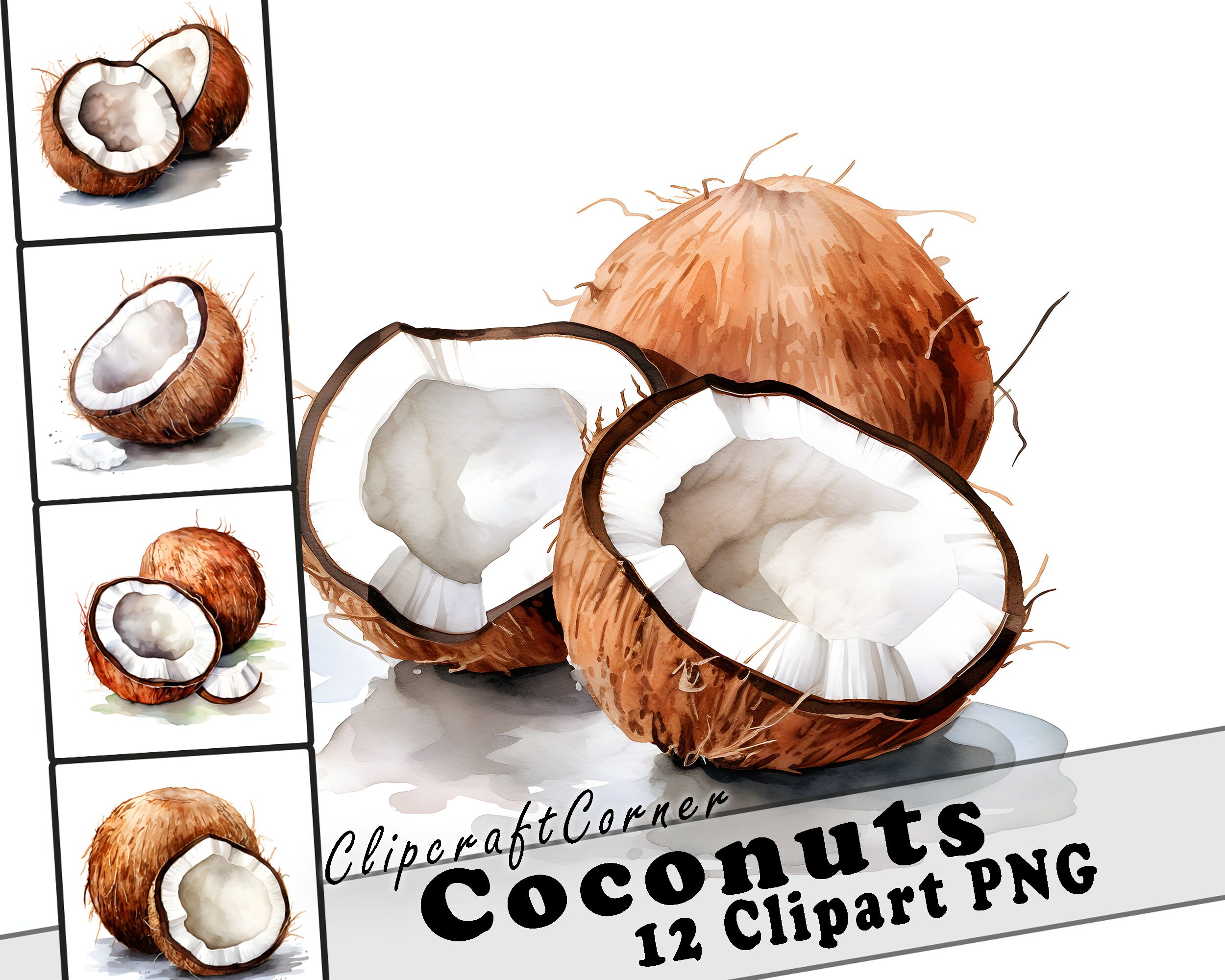 12 Coconut Clipart PNG Bundle Tropical Watercolor Clipart PNG Summer ...