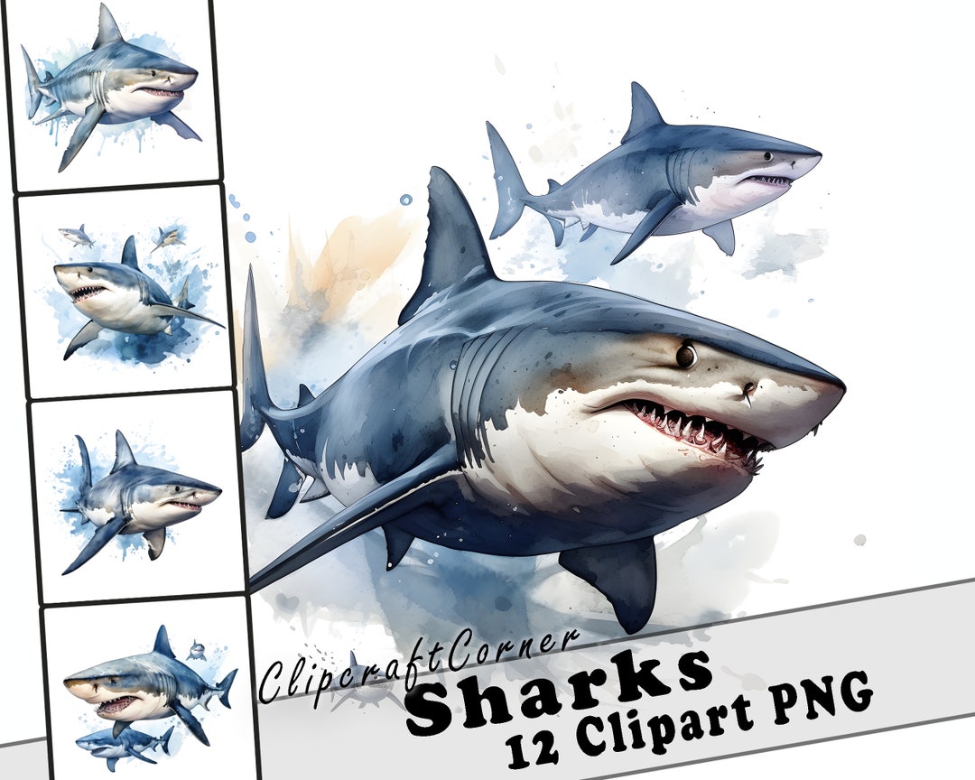 12 Shark Clipart PNG Bundle | Watercolor Sea Animals Clipart PNG ...