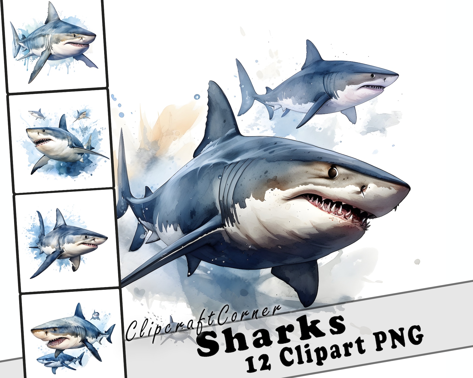 12 Shark Clipart PNG Bundle | Watercolor Sea Animals Clipart PNG ...