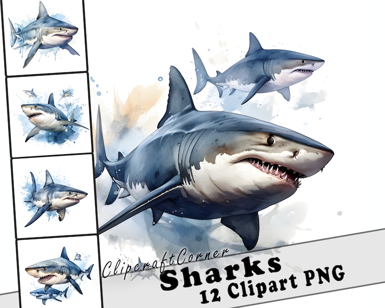 12 Shark Clipart PNG Bundle Watercolor Sea Animals Clipart PNG Ocean ...