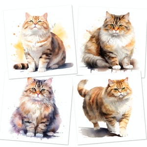 20 Fat Cats Clipart PNG Bundle | Cute Watercolor Fat Cat Clipart PNG ...