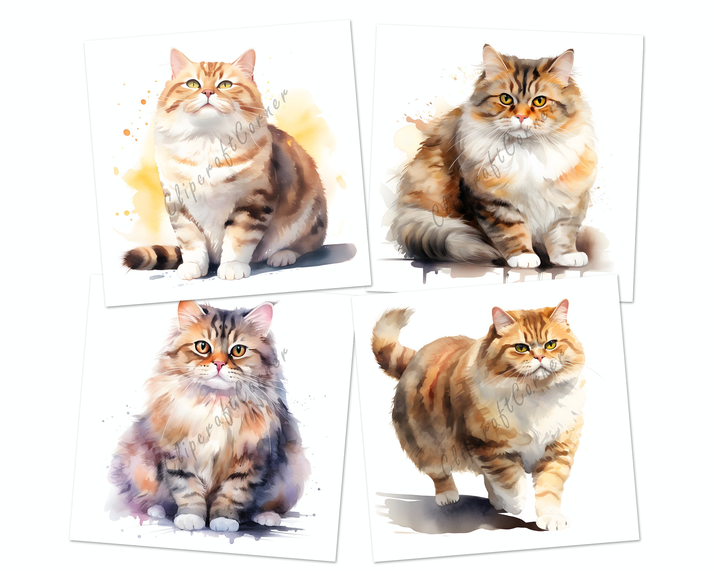 20 Fat Cats Clipart PNG Bundle | Cute Watercolor Fat Cat Clipart PNG ...
