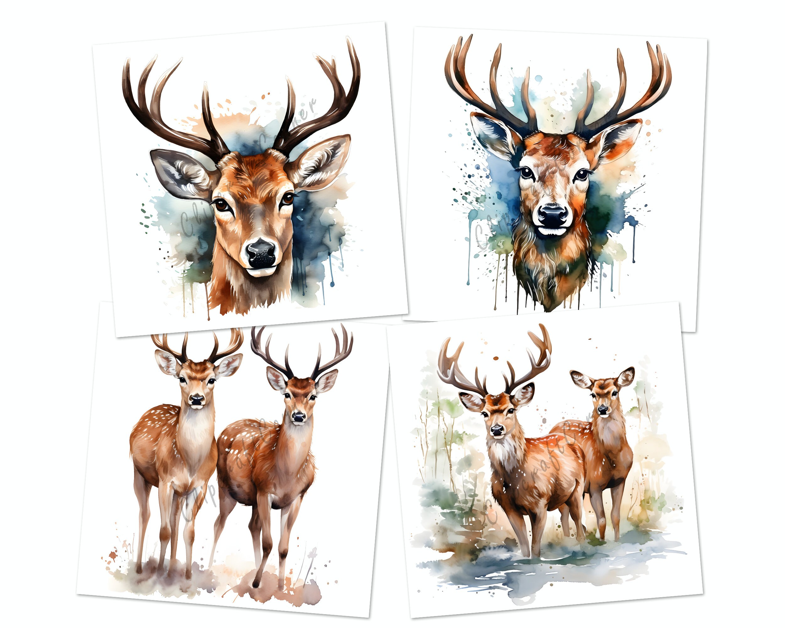 12 Deer Clipart PNG Forest Animal Bundle | Watercolor Deer Clipart PNG ...