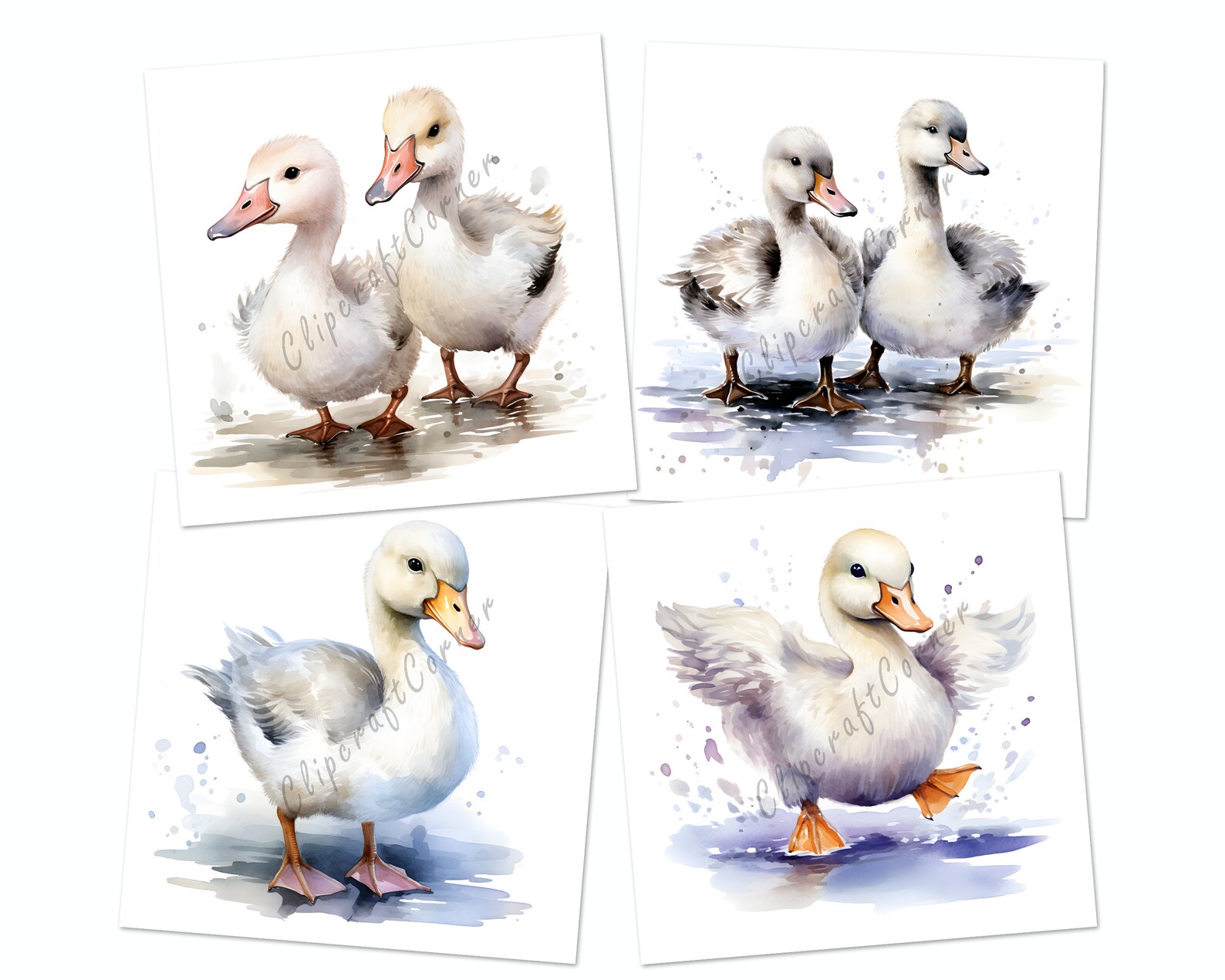 12 Goose Clipart PNG Bundle | Watercolor Goose Clipart PNG | Farm ...