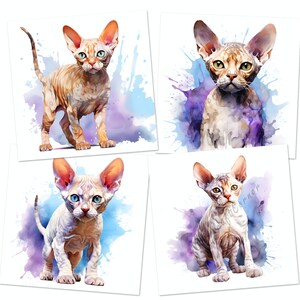 12 Devon Rex Cat Clipart PNG Bundle | Cute Watercolor Cat Clipart PNG ...