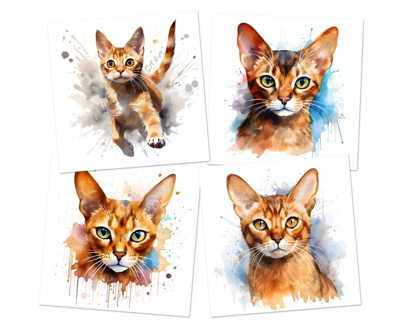 12 Abyssinian Cat Clipart PNG Bundle | Cute Watercolor Cat Clipart PNG ...