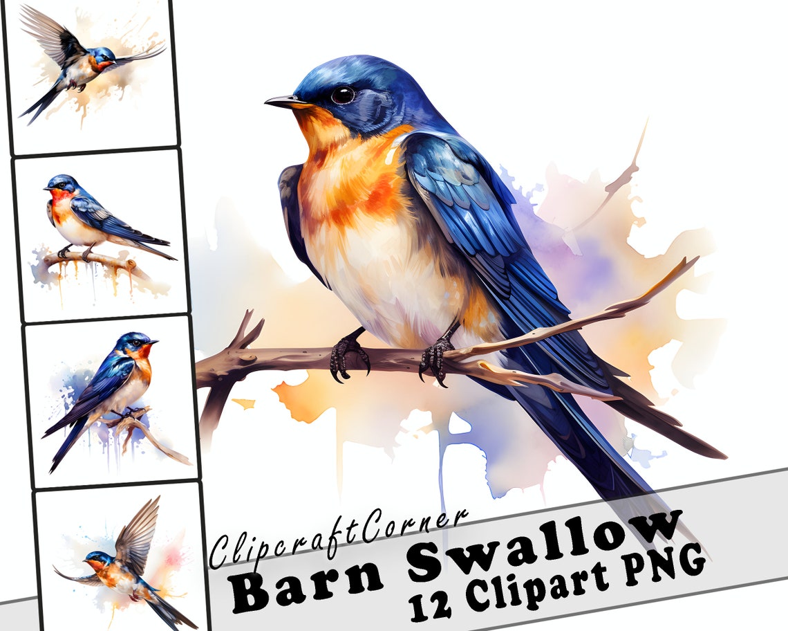 12 Barn Swallow Clipart PNG Art Bundle | Watercolor Bird Clipart PNG ...
