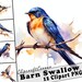 12 Barn Swallow Clipart PNG Art Bundle | Watercolor Bird Clipart PNG ...