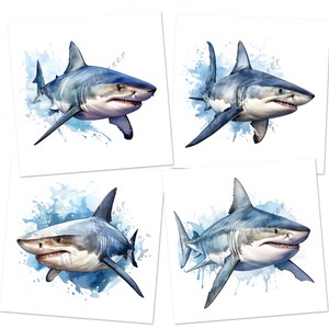 12 Shark Clipart PNG Bundle Watercolor Sea Animals Clipart PNG Ocean ...