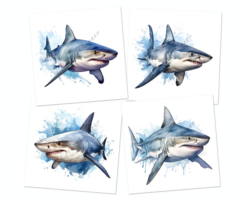 12 Shark Clipart PNG Bundle | Watercolor Sea Animals Clipart PNG ...