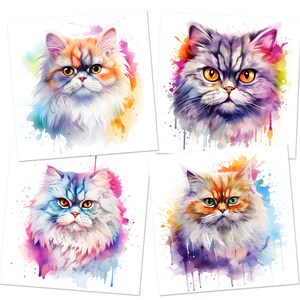 12 Persian Cat Clipart PNG Bundle | Cute Watercolor Cat Clipart PNG ...