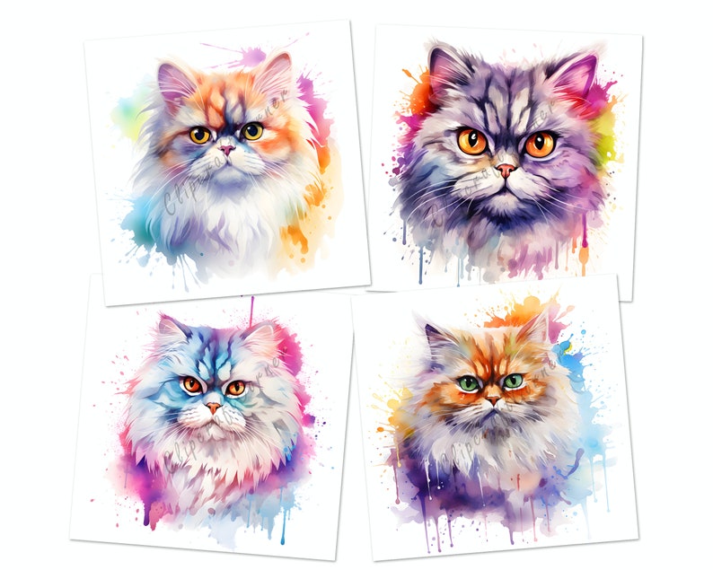 12 Persian Cat Clipart PNG Bundle | Cute Watercolor Cat Clipart PNG ...