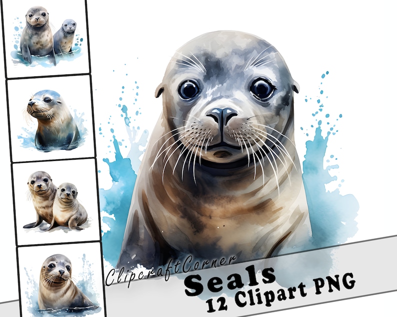 12 Seal Clipart PNG Bundle | Watercolor Sea Animals Clipart PNG | Ocean ...