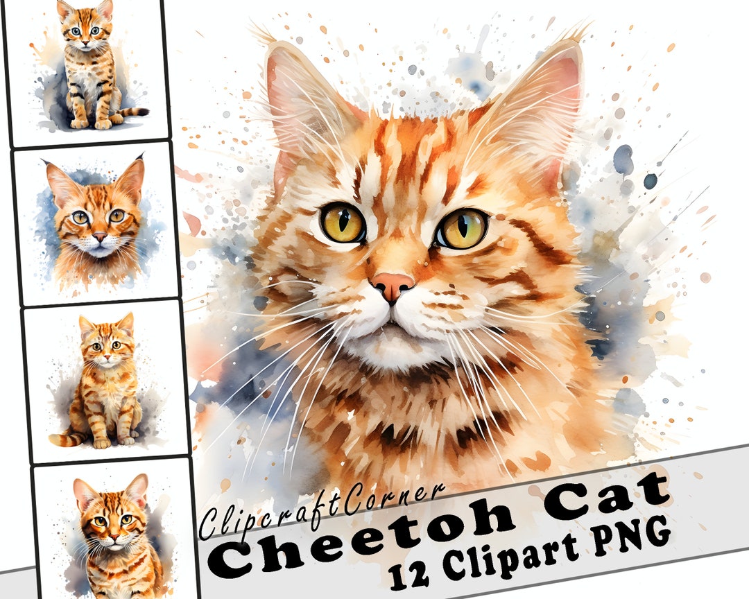12 Cheetoh Cat Clipart PNG Bundle | Cute Watercolor Cat Clipart PNG ...