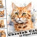 12 Cheetoh Cat Clipart PNG Bundle | Cute Watercolor Cat Clipart PNG ...