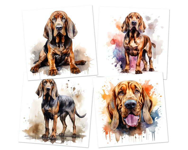 17 Bloodhound Clipart PNG Bundle | Watercolor Dog Clipart PNG | 23 - Etsy
