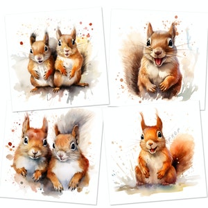 12 Happy Squirrel Clipart PNG Forest Animal Bundle | Watercolor ...